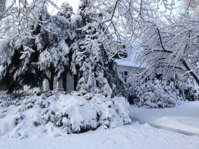 Madison Muse: TSE Ready to Wear 2014