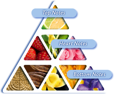 Top Notes, Middle Notes and Base Notes: Essential Oils