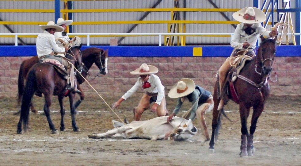 mundo charro: suertes charras: terna en el ruedo (LC y PR)*