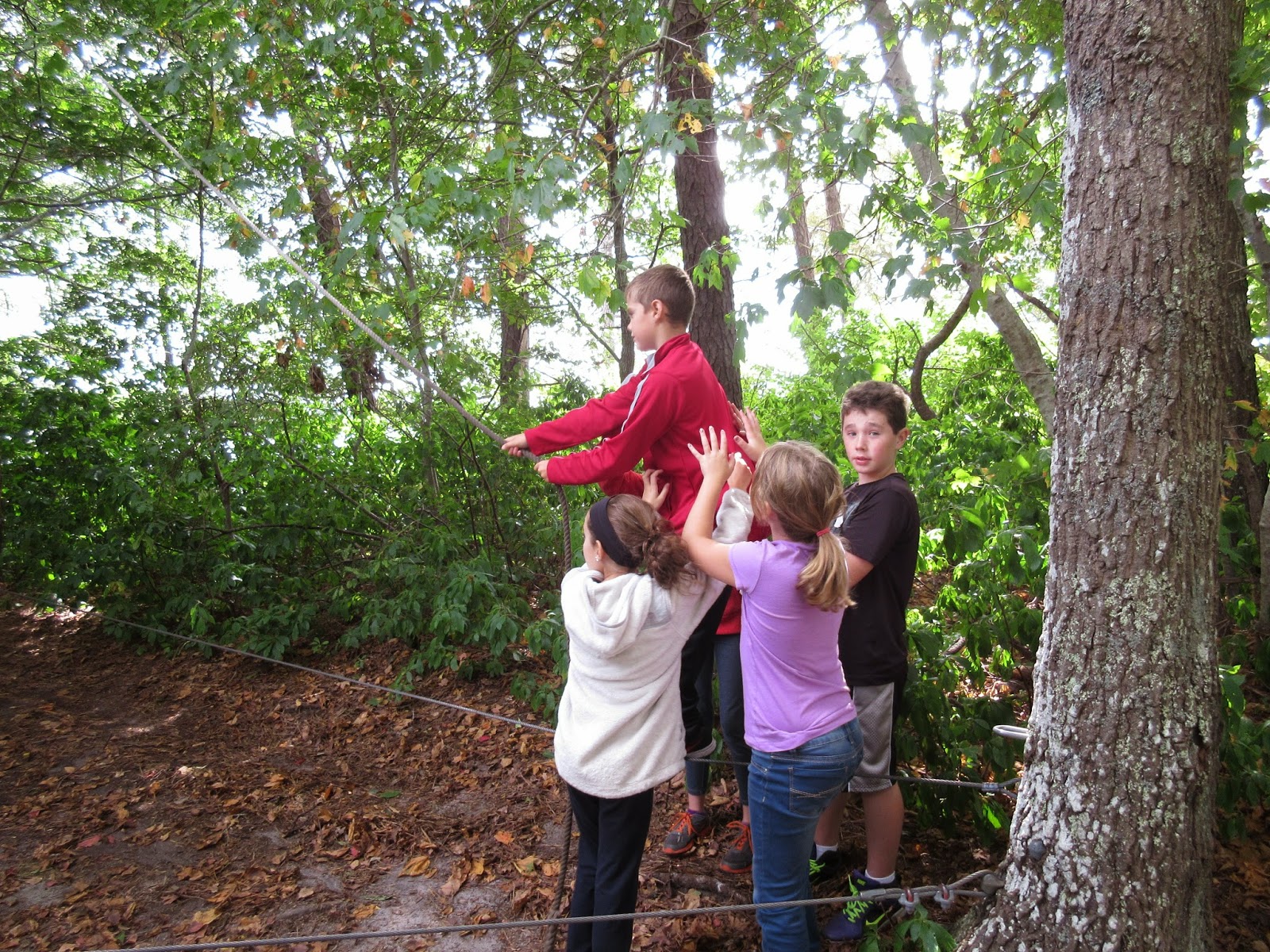 Barrows Elementary Principal Blog: Camp Bournedale Fun!