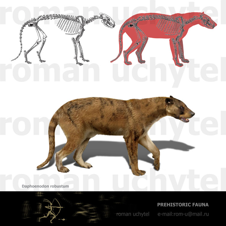 Escenarios prehistóricos: Daphoenodon