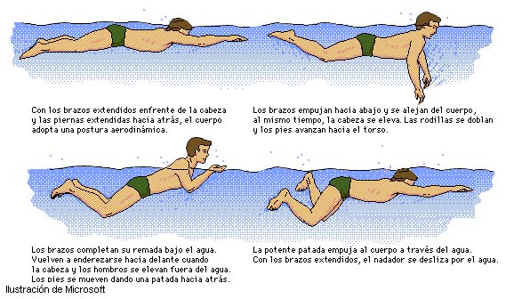 swimming: Estilo Braza
