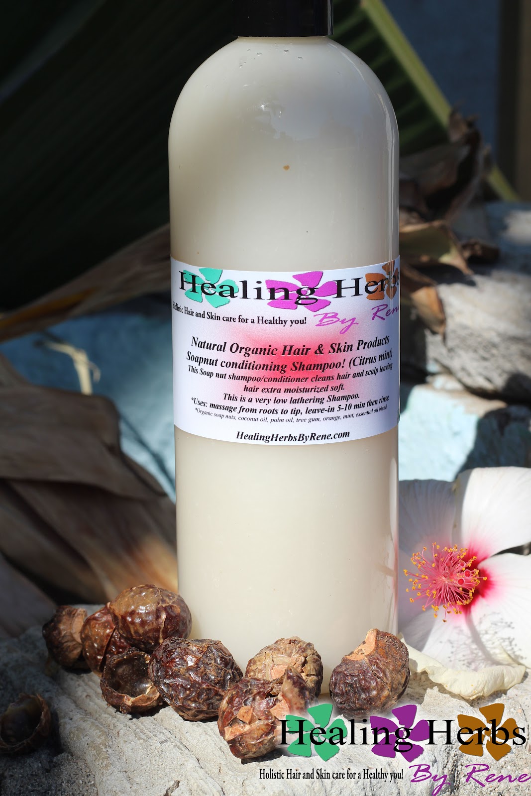 Sustainable Natural Organic hair & Skin care!: Organic soapnut ...