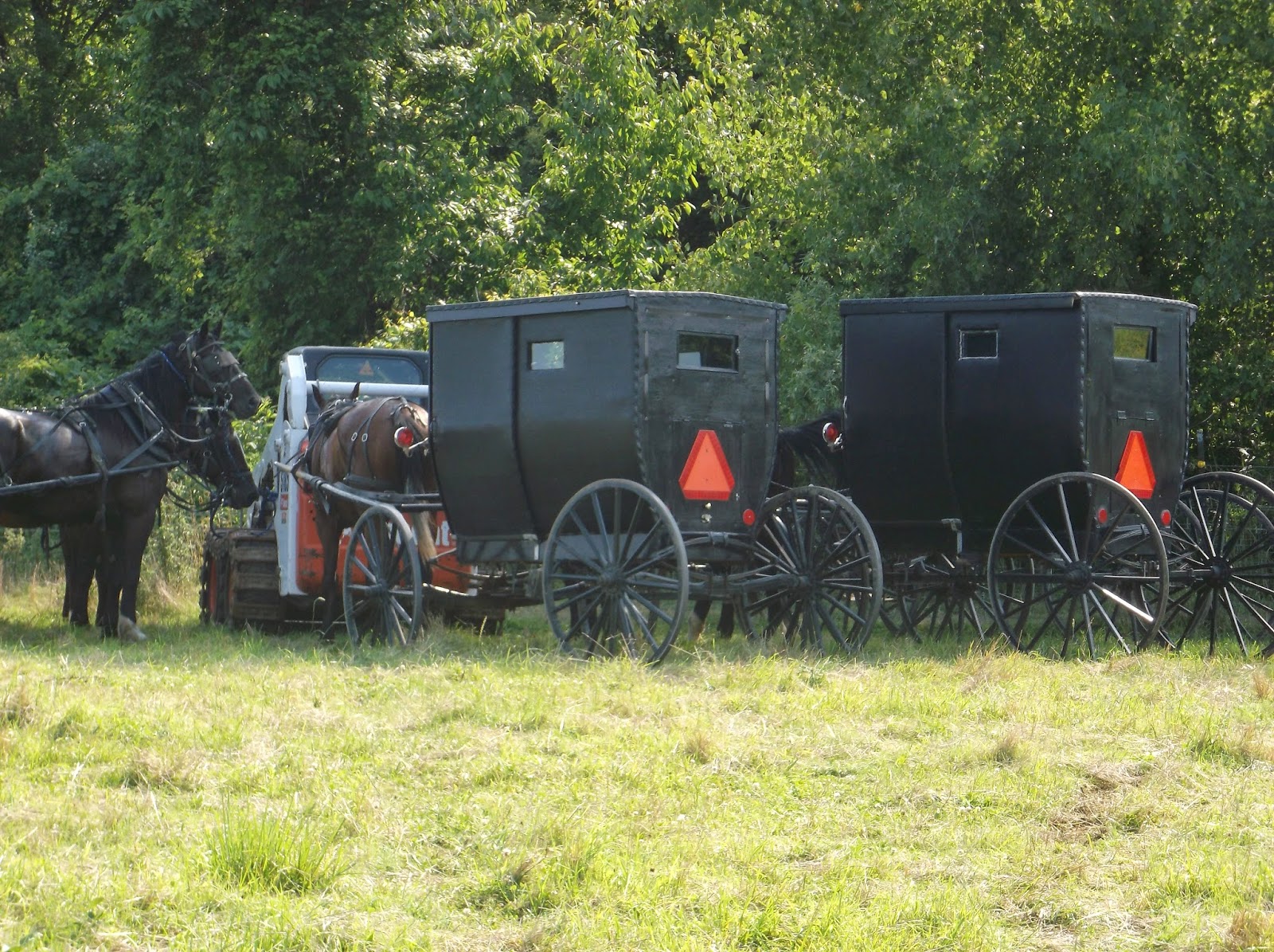 New York State of Mind: AMISH PEOPLE, BUGGIES AND ENGLISHERS CARS AT ...