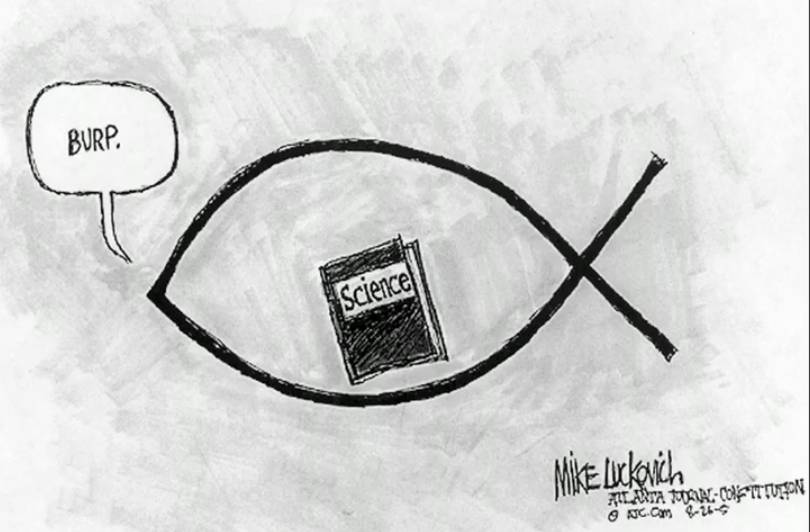 Something Surprising: A school of Darwin Fish