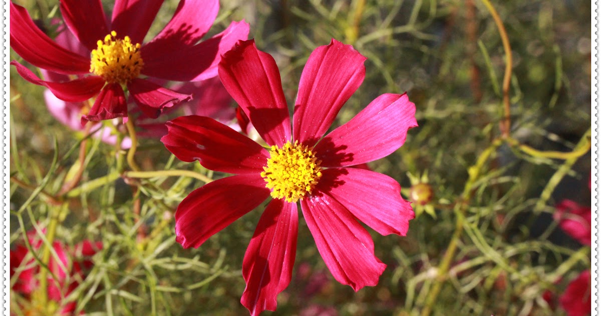 The Scriptures: Mark-09-42