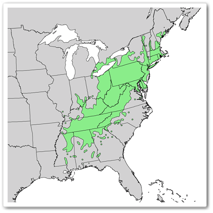 Our Little Acre: Roasting, Planting, and Restoring the American Chestnut