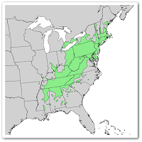 Our Little Acre: Roasting, Planting, and Restoring the American Chestnut