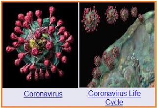 BIOLOGI GONZAGA: VIROLOGI