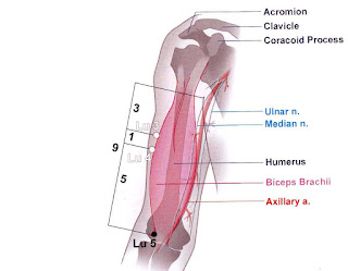 Lu 5. Chize / Ce Ce (Memilih dan Mengukur) - Terapi Jarum
