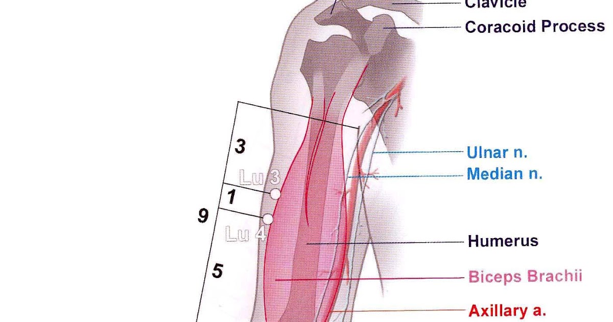 Lu 5. Chize / Ce Ce (Memilih dan Mengukur) - Terapi Jarum