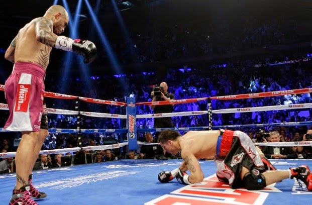 Miguel Cotto, la verdadera maravilla del boxeo | Ximinia