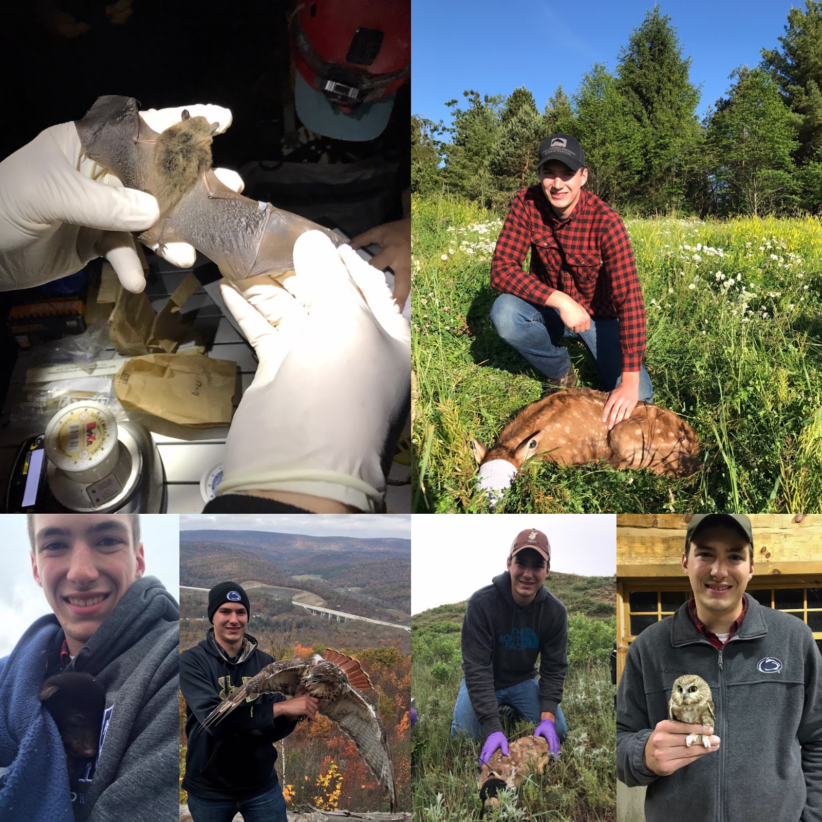 Meet Brandon Witmer – Rock Spring Internship