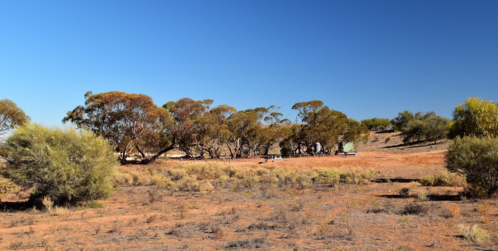 Goin' Feral One Day At A Time: Pink Lakes Walk, Murray~Sunset National ...