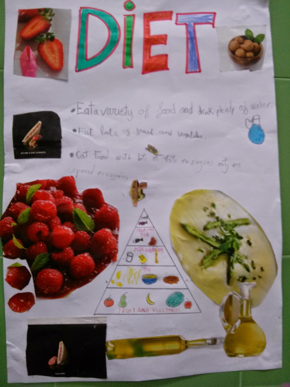 A science blog for Primary Year 3: Healthy habits project