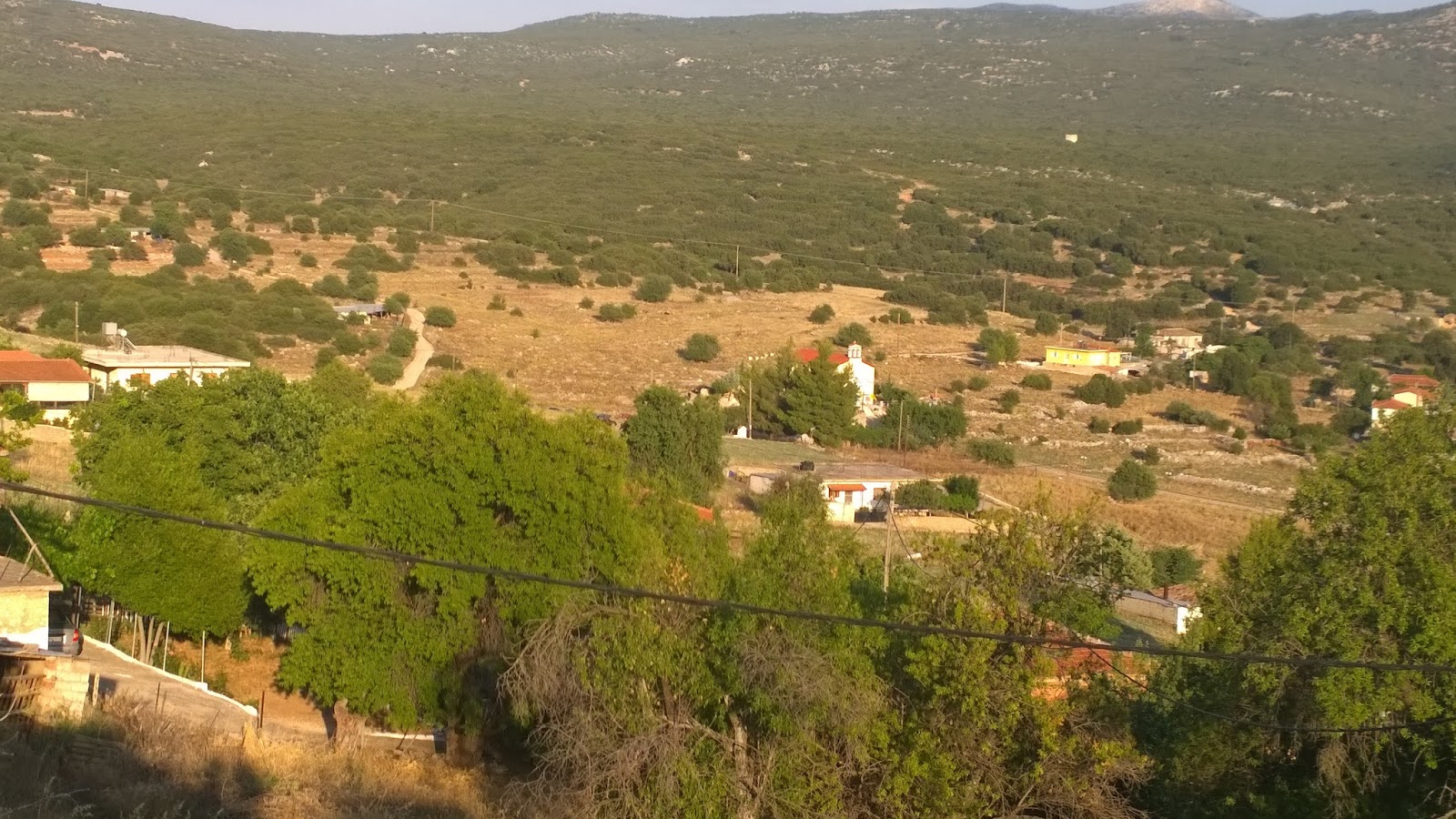 ΧΕΛΙ - ΑΡΑΧΝΑΙΟ: Φοτο Αραχναιο