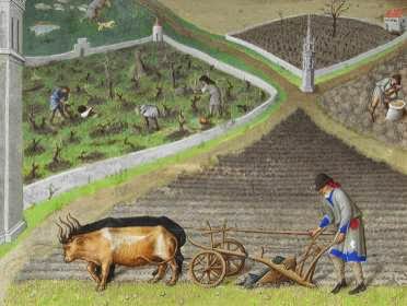 Informacion Necesaria: El regimen feudal