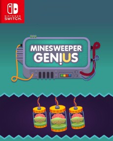 Minesweeper Genius - Download Game Nintendo
