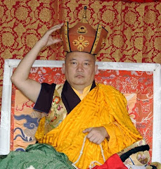 ASOCIACION CHOGAR GONG: 2010