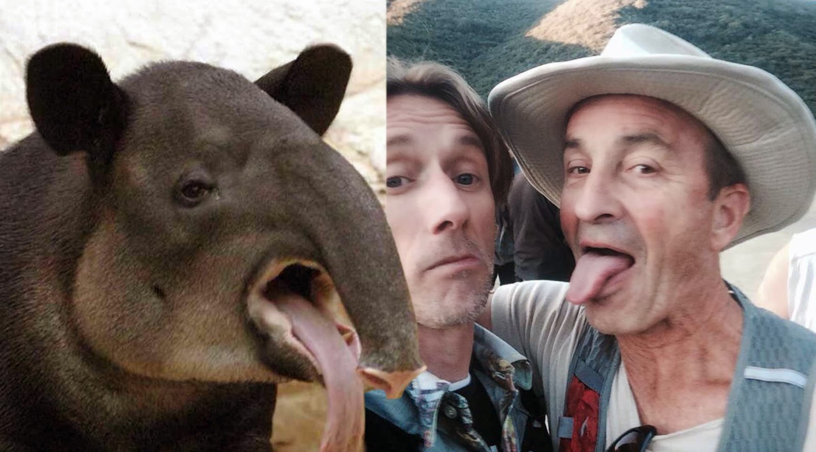 Leona Divide 50: The 34.99 Markdown Special