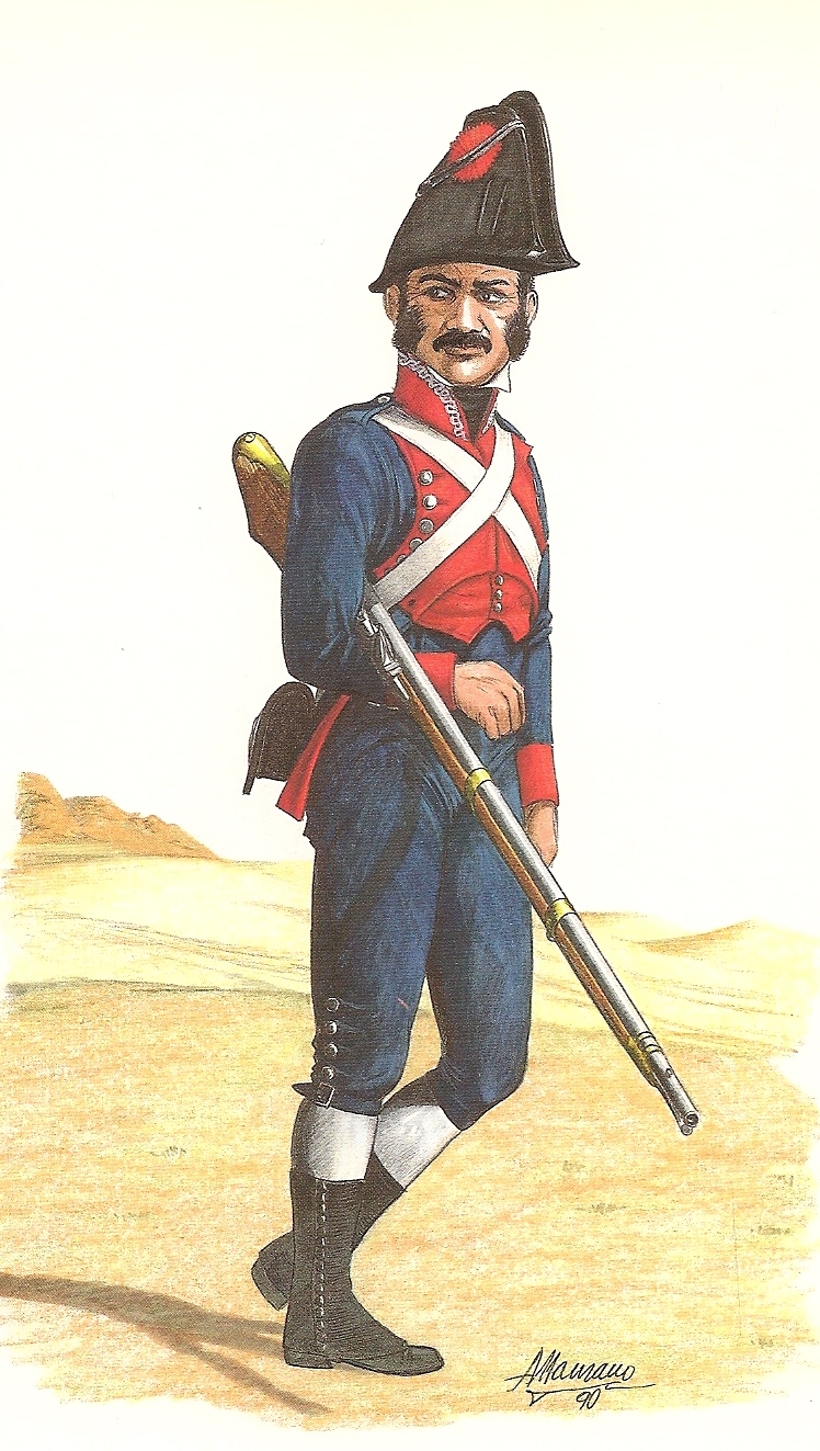 MINIATURAS MILITARES POR ALFONS CÀNOVAS: ESTADO MILITAR DE AMERICA ...