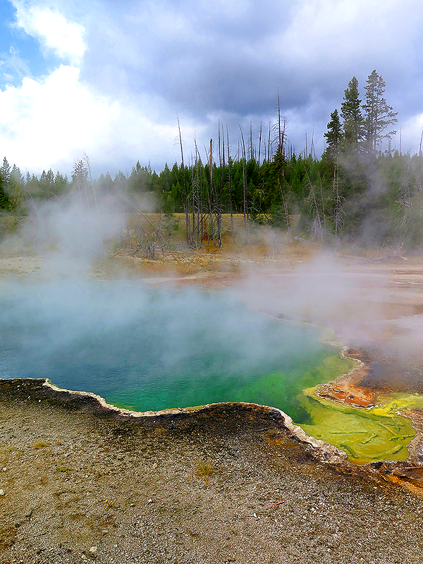 MrBrownThumb: Oct 8, 2014