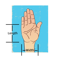 Learn 1 A Day: Learn to Read Palms