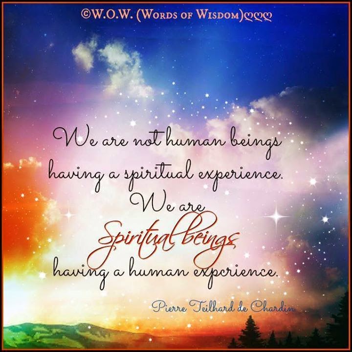 WE ARE NOT HUMAN BEINGS HAVING A SPIRITUAL EXPERIENCE WE ARE SPIRITUAL ...