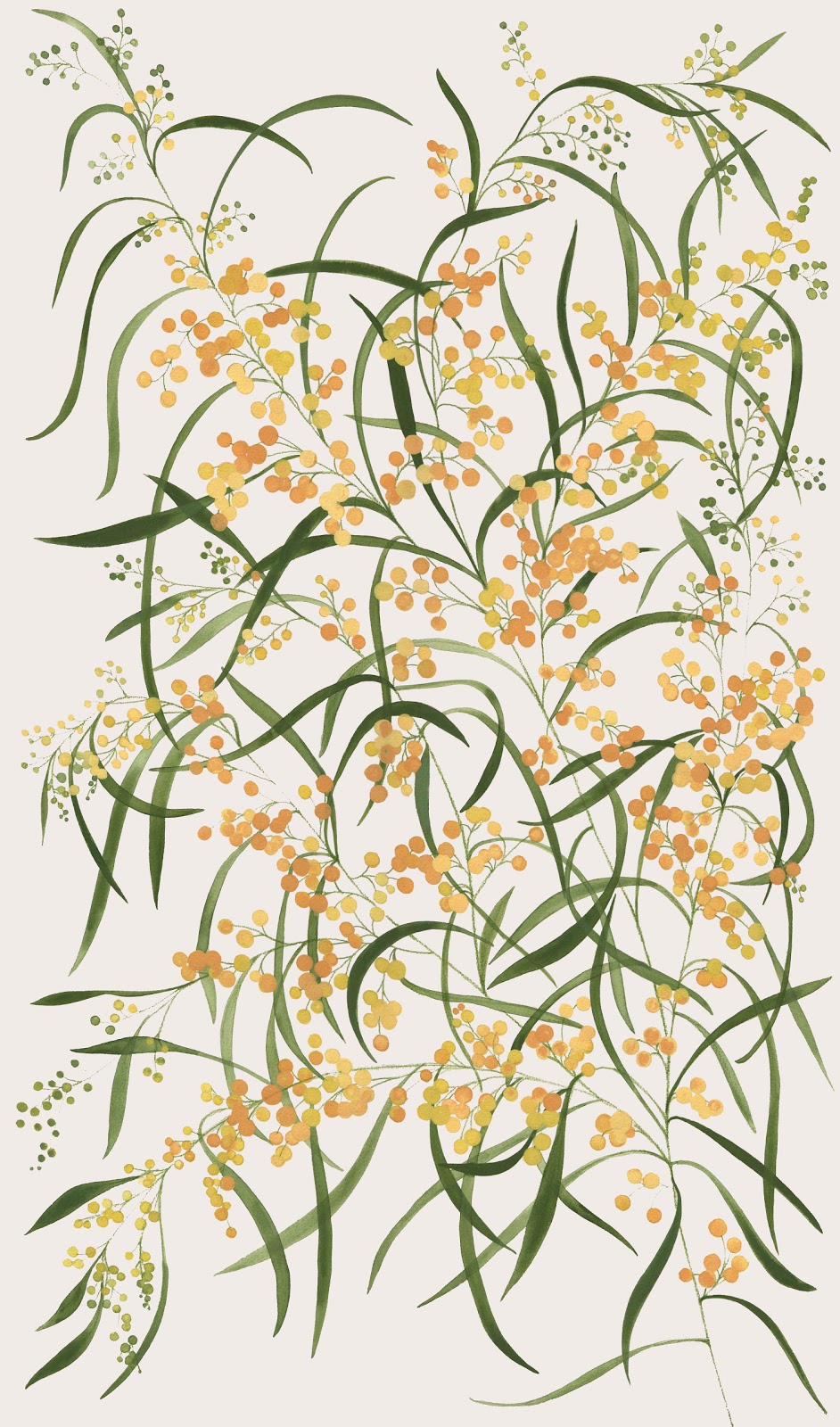 Natalie's Sketchbook: Summer wattle