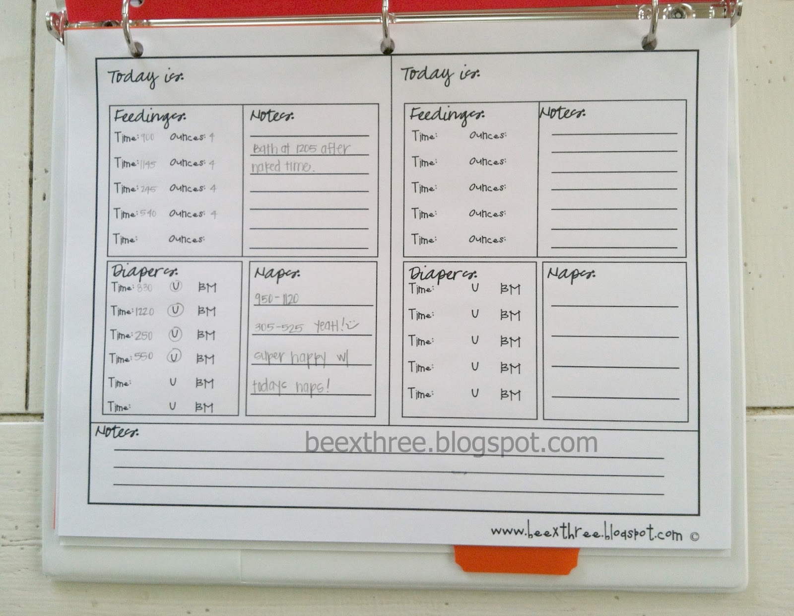 Three B's: Updated Daily Log Binder; Infant & Toddler