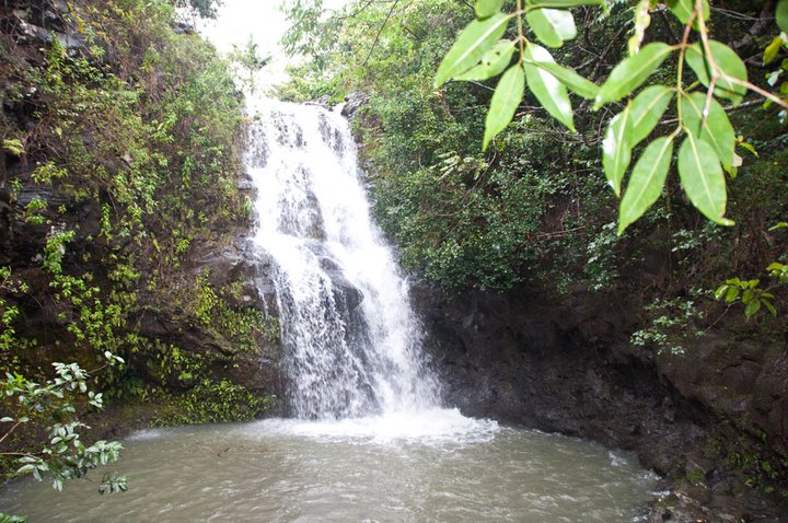 HikeOneHikeAll Hawaii: Waimano Pool and Falls