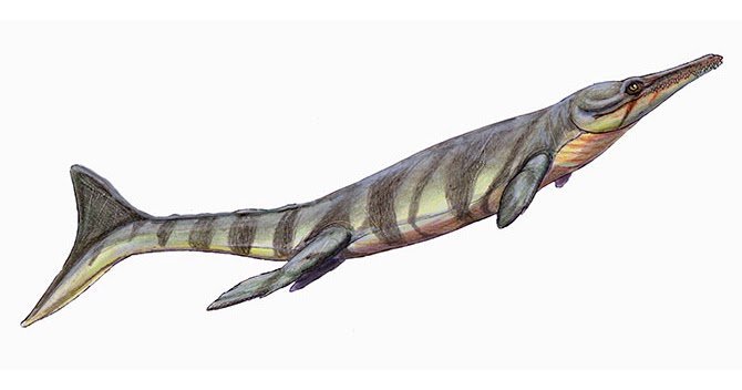 Escenarios prehistóricos: Plesiosuchus