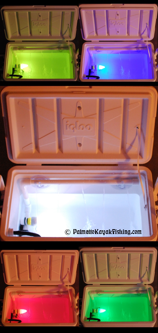 Palmetto Kayak Fishing: Deluxe DIY Kayak Bait Well with Light