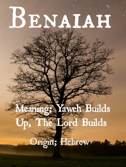 Everything Baby Names: Melody and Benaiah