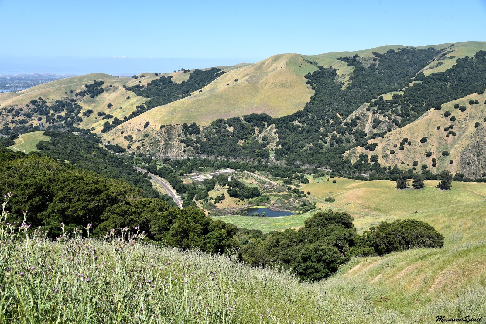Mamma Quail Hiking California : The Long Anticipated Hike at My ...