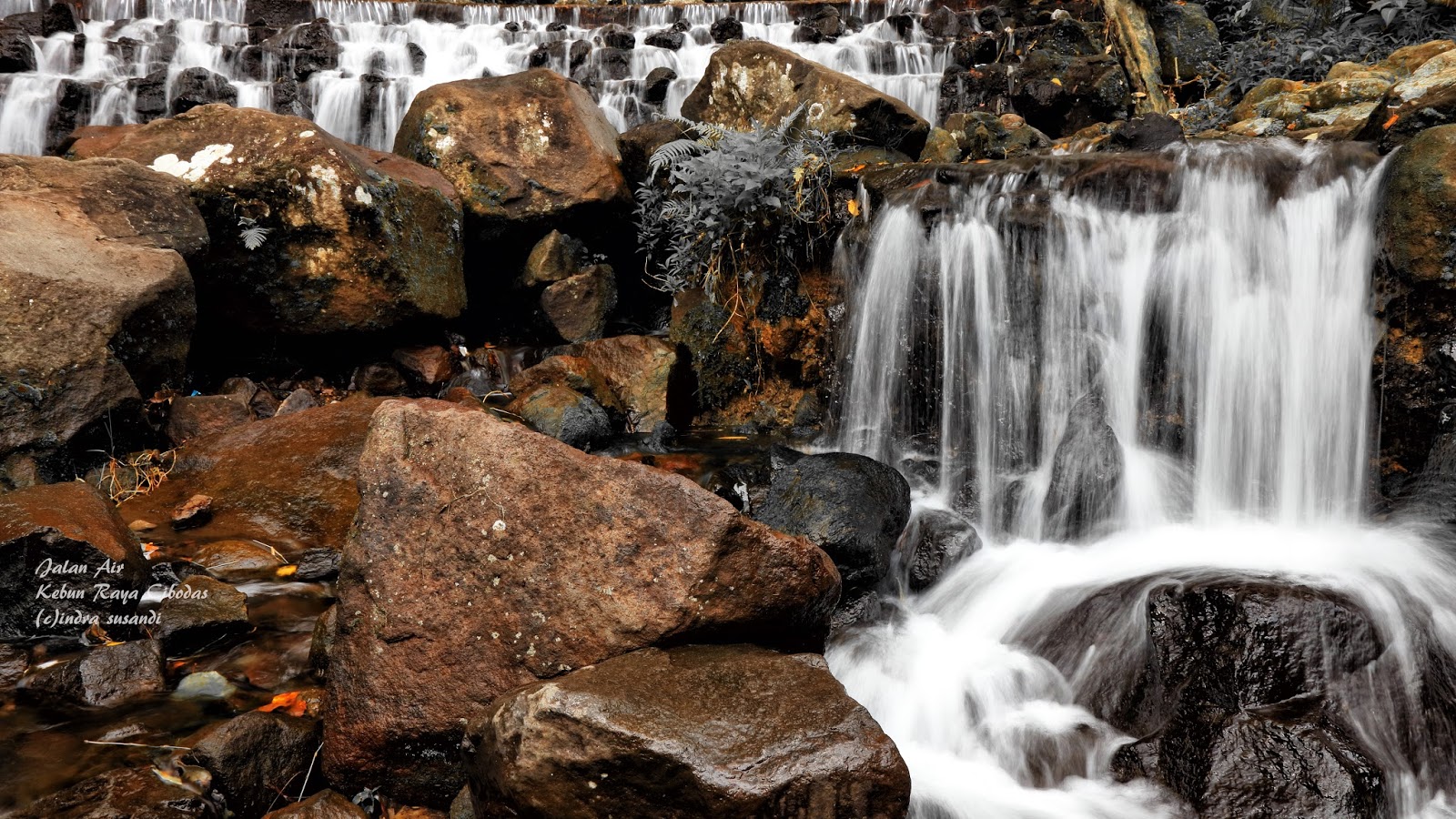 Liburan tahun baru di Kebun Raya Cibodas, Mengunjungi Curug Cibogo dan ...