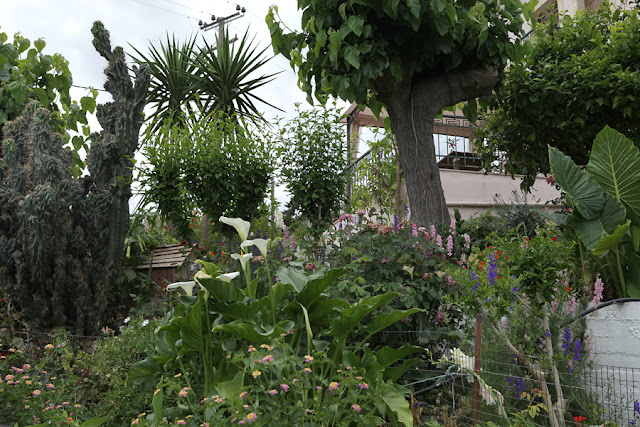 del MEDITERRÁNEO: GREECE. ELLADA. CRETE. CHANIA Prefecture. KALIDES ...