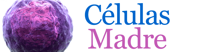 APRENDIENDO CON JUANCHO: EVALUACIÓN N°1 "CÉLULAS MADRES"