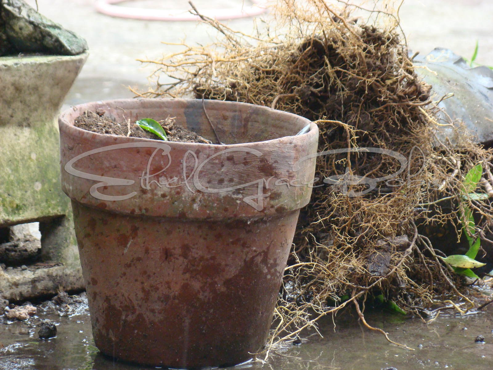 Still Life: Empty Pot