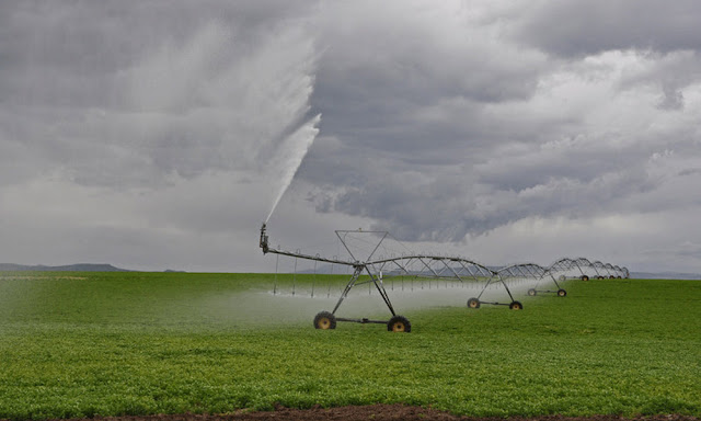 June 2015 - PakMainstream