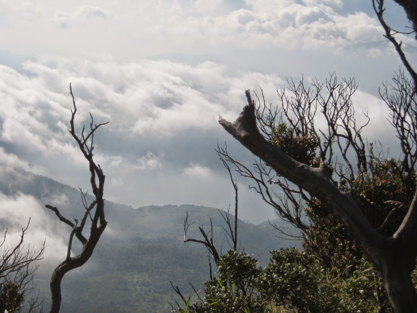 Ekspedisi Gunung Talang ~ Handes Scream