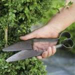 Le Petit Chateau: top topiaries