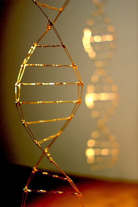 Medical Laboratory and Biomedical Science: DNA Sculpture