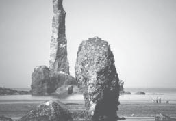 Sebutkan macam-macam erosi berdasarkan penyebabnya? | ips ipa