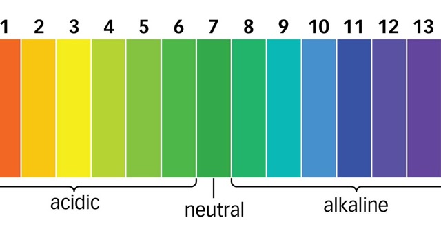 Físicoquímica: Ensayo de el pH