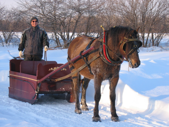 Ferme du Sault: Traîneaux - Sleighs - Horse drawn sleighs