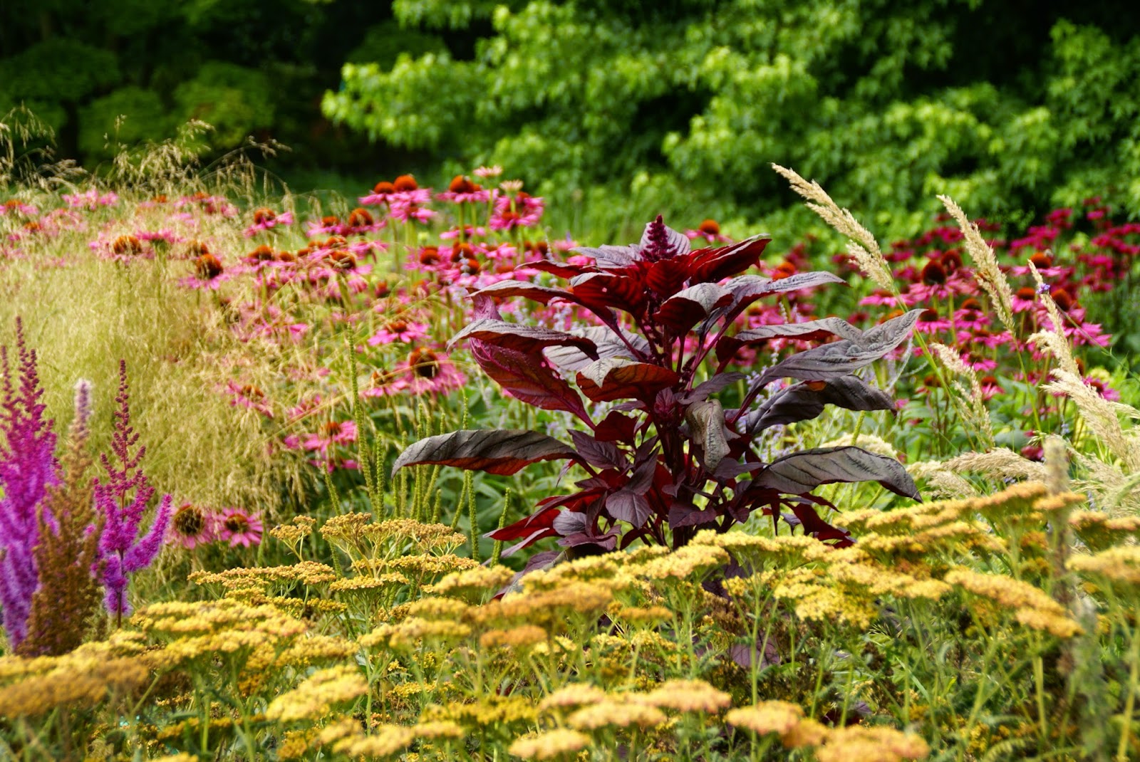 Starting the Prairie border
