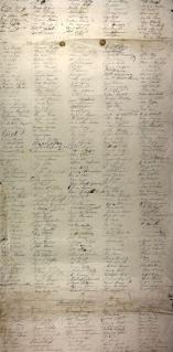 The GENES Blog: Coming soon - Irish 1841 census substitute