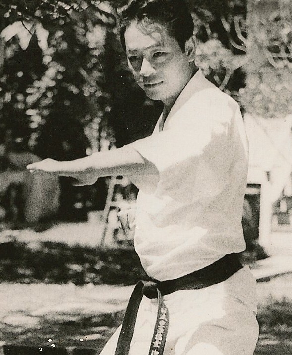 André Bertel's Karate-Do: JKA All-Japan Championships: The Golden Age