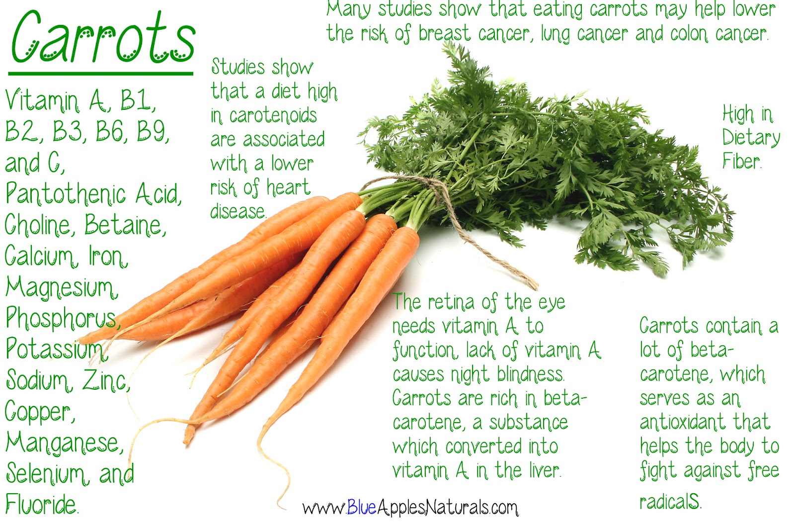 LIve Natural Knowledge